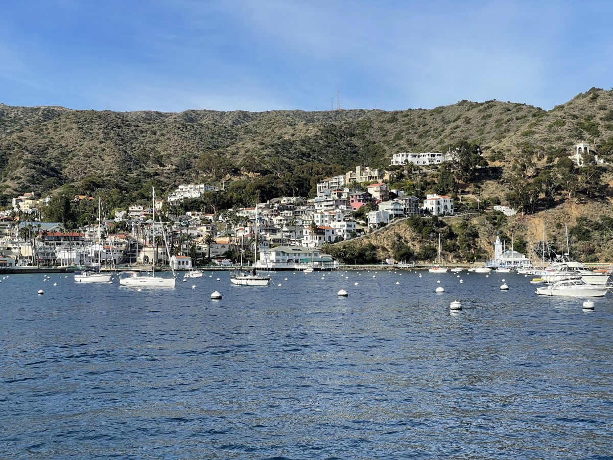 avalon + two harbors, catalina island, california, usa – Laura the explora: the blog